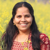 School Innovation Council